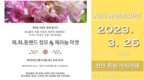 제라늄정원 제라늄마켓 제라늄 사러 놀러오세요 ~ 천안 목천 까치카페 3층 옥상테라스 2023년 3월 25일 토요일 오전 11시부터 Pelargonium