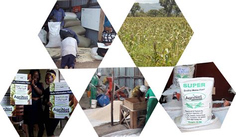 Agrinet Uganda Ltd The Kampala Agribusiness Directory