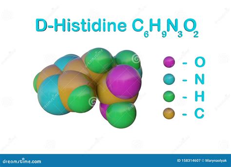 Structural Chemical Formula And Molecular Model Of D Histidine An