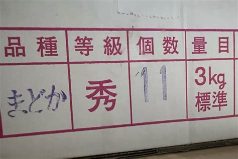 ふるさと納税・桃（まどか） まいまいのふるさと納税日記