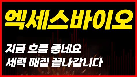 엑세스바이오 주가전망 드디어 세력들이 움직이네요다시 대상승나올겁니다 엑세스바이오주가 엑세스바이오전망 엑세스