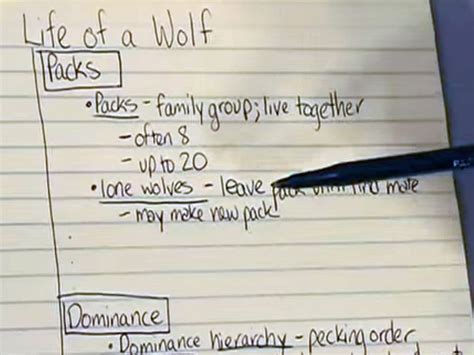 How To Take Cornell Notes With Pictures Wikihow