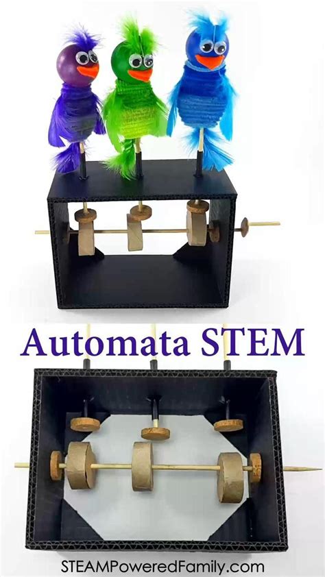 Build An Automaton A Simple Machine Stem Project Artofit