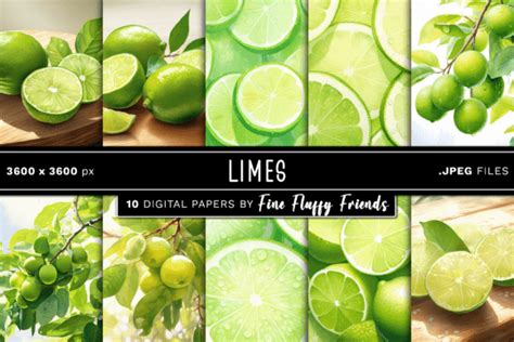 Limes Digital Paper Graphic By Finefluffyfriends · Creative Fabrica