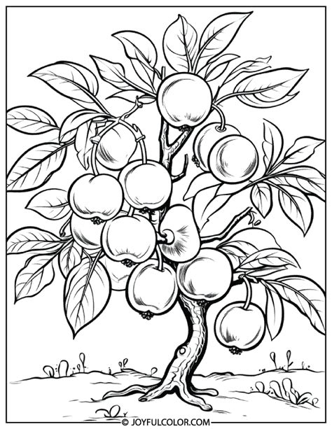 Fruit Tree Coloring Pages Easy To Print And Free Download