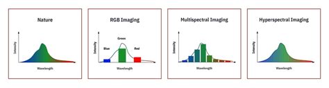 Hyperspectral Multispectral Lidar Technology Comparison