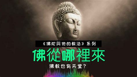 佛陀與他的教法：佛陀從哪裡來？佛教有天堂的概念嗎？天人、菩薩、佛的差異 Youtube