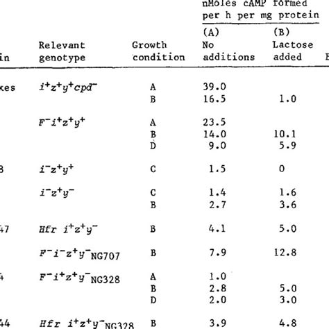 Effect Of Lactose On Adenylate Cyclase Activity In Intact Cells Of