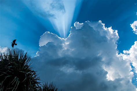 Banco de imagens natureza silhueta nuvem céu luz solar atmosfera Cumulus azul Ao ar