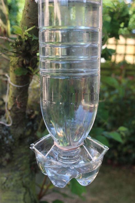 Water Cute Plastic Bottle Bird Feeder Rebecca S Bird Gardens Blog Diy