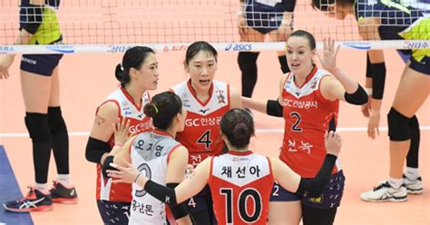 알레나 25점 인삼공사 현대건설 꺾고 3연승현대건설 5연패