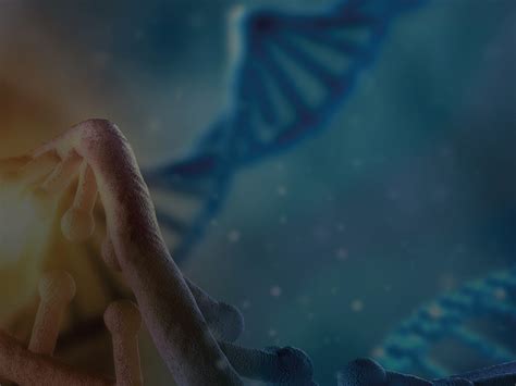 Immuno Diagnostics Asmtkh