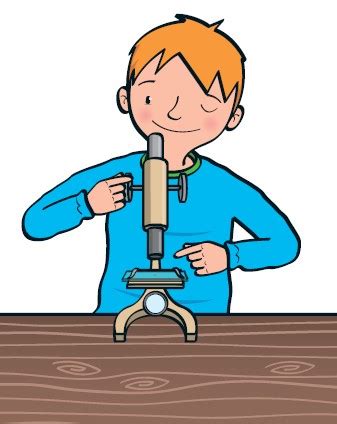 Incredible English Unit Baamboozle Baamboozle The Most Fun Classroom Games