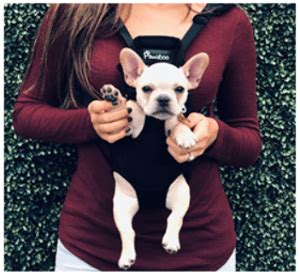 Mejores Mochilas Para Llevar Perros En Moto De 2025