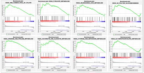 Pathway Enrichment Analysis And Visualization Of Omics Data Using Gene Download Scientific