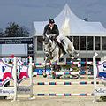 Categorysilvana Horse Wikimedia Commons