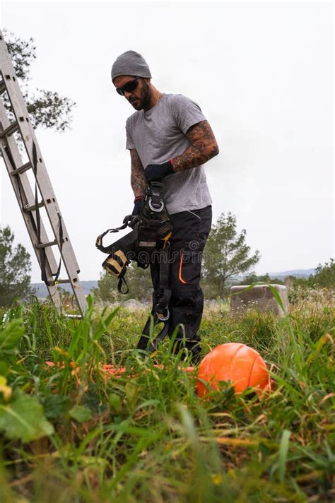 Rope Access Technician Preparing Equipment For Tree Pruning Stock Image