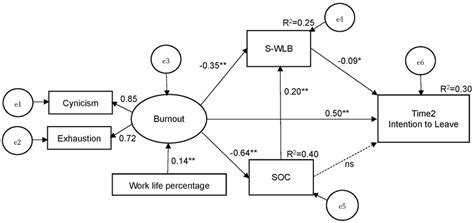 Final Study Model Note The Figure That Includes The Dotted Lines Is