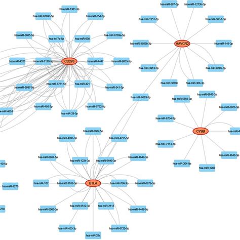Exosome Related Immune Checkpoints Interaction With Immune Cells