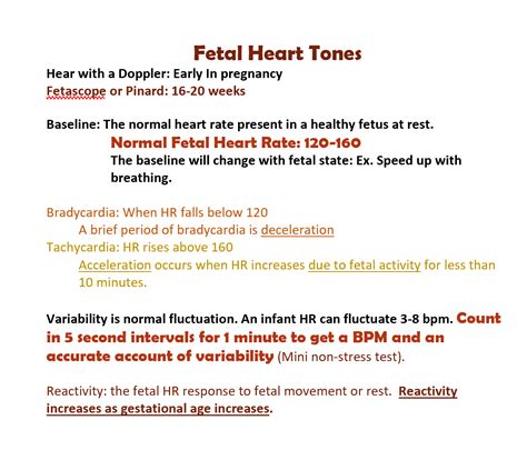 Fetal Heart Tones