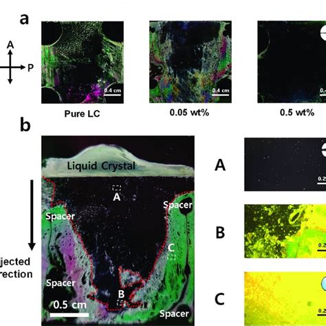 Image Of Region Near Lc Injection With The Test Cell Between The Two