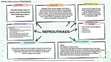 Mind Map Nefrolithiasis Pdf