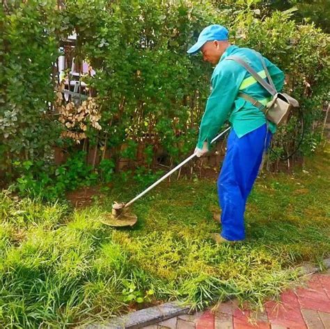 城管在行动：长安区绿化管护队雨后除草护绿忙 养护工作不懈怠管理进行修剪