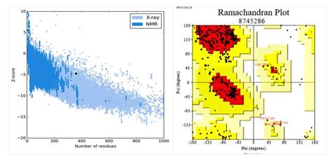Validation Of 3d Final Vaccine Model A Prosa Showing Z Score 4 7