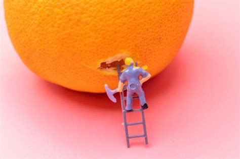 Benjamin Erkan Guntore On Linkedin 5 Growth Lessons We Learned While