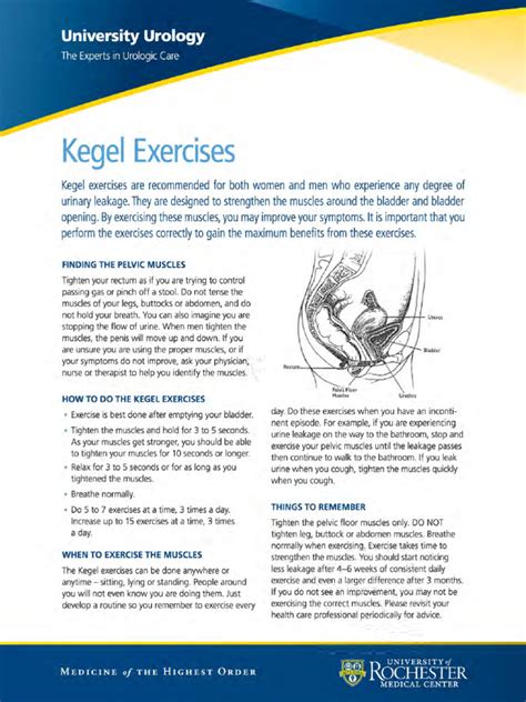 Kegel Exercises Download Free Pdf Urinary Incontinence Medical Specialties