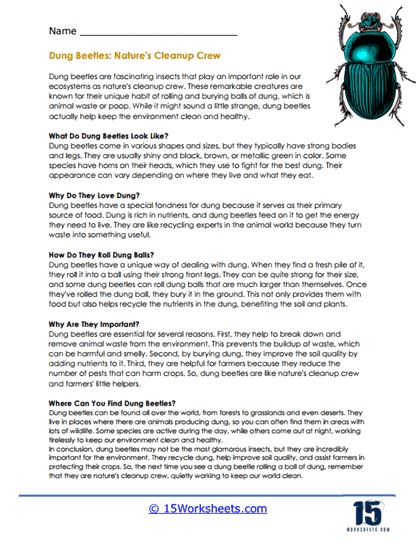 Insects Worksheets 15