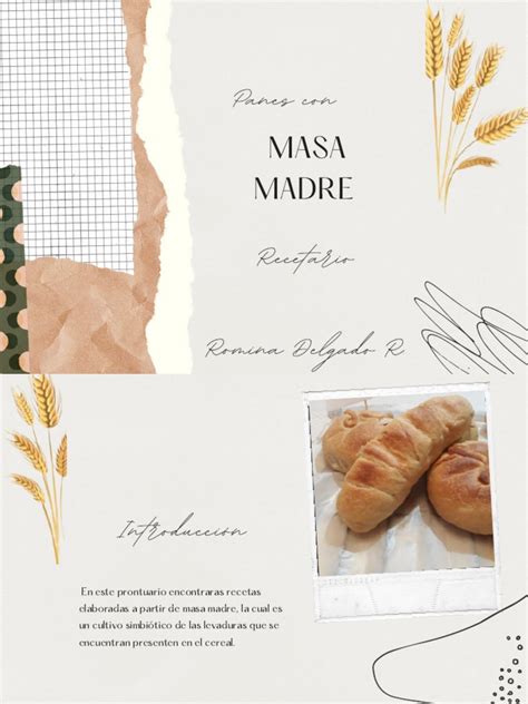 Recetario De Panes Con Masa Madre Pdf De Masa Fermentada Panes