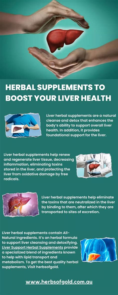 Ppt Herbal Supplements To Boost Your Liver Health Powerpoint