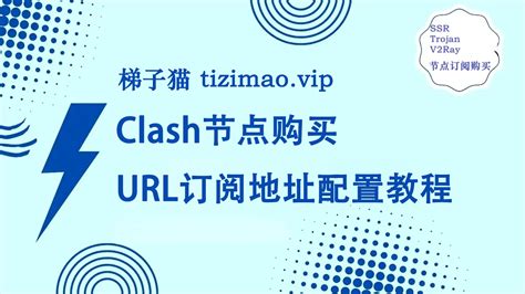 Clash付费节点购买网站分享 Clash小猫咪