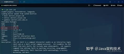 Ohmyzsh，简直是我用来伪装资深程序员的神器！ 知乎