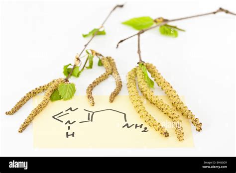 Allergische Rhinitis Stockfotos Und Bilder Kaufen Alamy