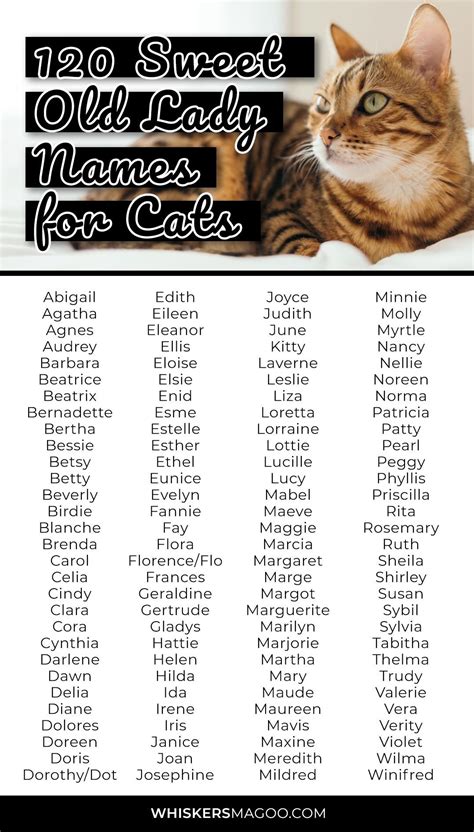 120 Sweet Old Lady Names For Cats Artofit