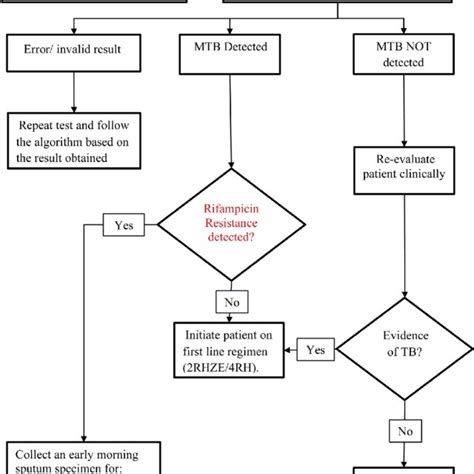 The Simplified New Tb Testing Algorithm For Zimbabwe 2016 18 Bmi The Simplified New Tb Testing Algorithm For Zimbabwe 2016 18 Bmi