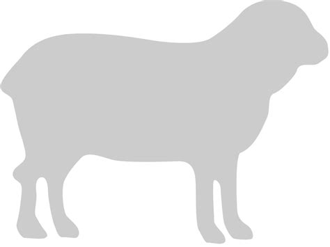 Sheep 36633851 Vector Art At Vecteezy