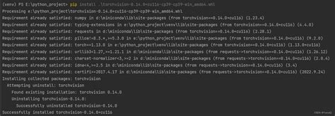 2022 2023最新 Pytorch安装方法 Gpu版本 Python39 Torch 1130cu116 Cp39