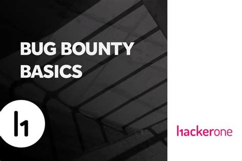 Bug Bounty Basics Pdf