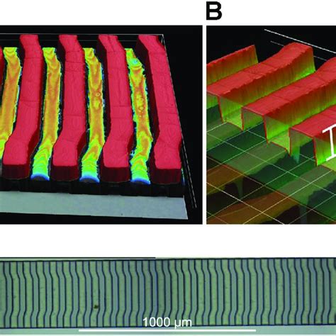 Detail Of Pdms Microstructures In The Hydrophoretic Module Images Are