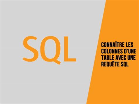 Connaître Les Colonnes Dune Table Avec Une Requête Sql Lookman Design