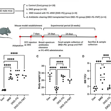Experimental Design And Grouping Process Of Animal Experiment Clinical Download Scientific
