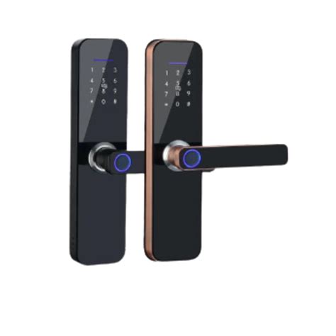 Smart Home Door Lock Multiple Keyless Entry Method Q Y250 Ttl Quant