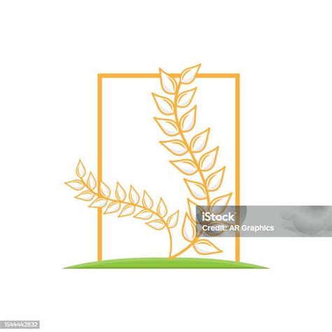 쌀 로고 농장 밀 로고 디자인 벡터 밀 쌀 아이콘 템플릿 복고풍 빈티지 일러스트레이션 건조한에 대한 스톡 벡터 아트 및 기타