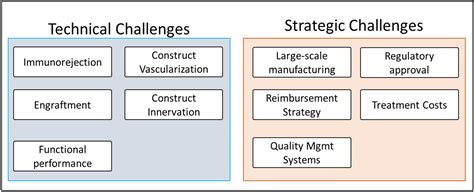 A Review And Approach To Tissue Engineered Constructs Review Nature