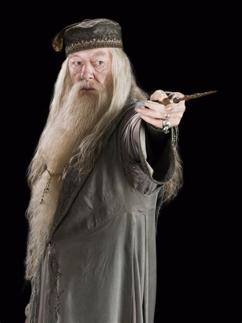 Pin By Gwenaelle Lecerf On Illustration Albus Dumbledore Harry Potter
