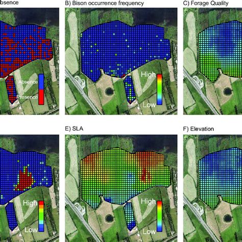 response and predictor variables used for the spatial linear and