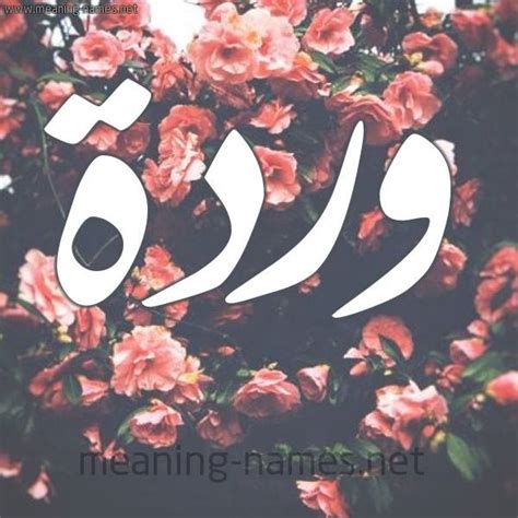 بالصور اسم وردة مزخرف معنى صفات دلع اسم وردة وشعر وغلاف ورمزيات 2025